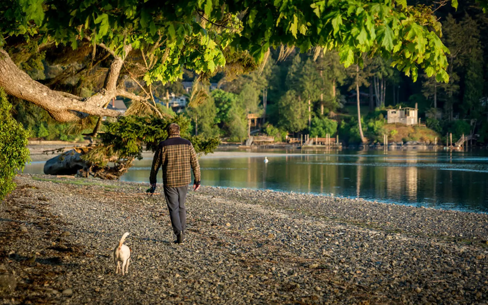 Home | District of Sooke